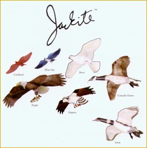 Cool Stuff -goldenspiral.com